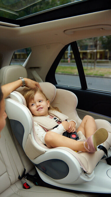 Discover babyark's Convertible Car Seat