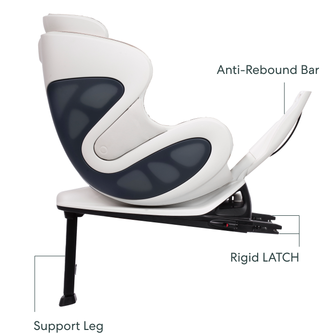 Discover babyark's Convertible Car Seat