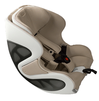 Discover babyark's Convertible Car Seat
